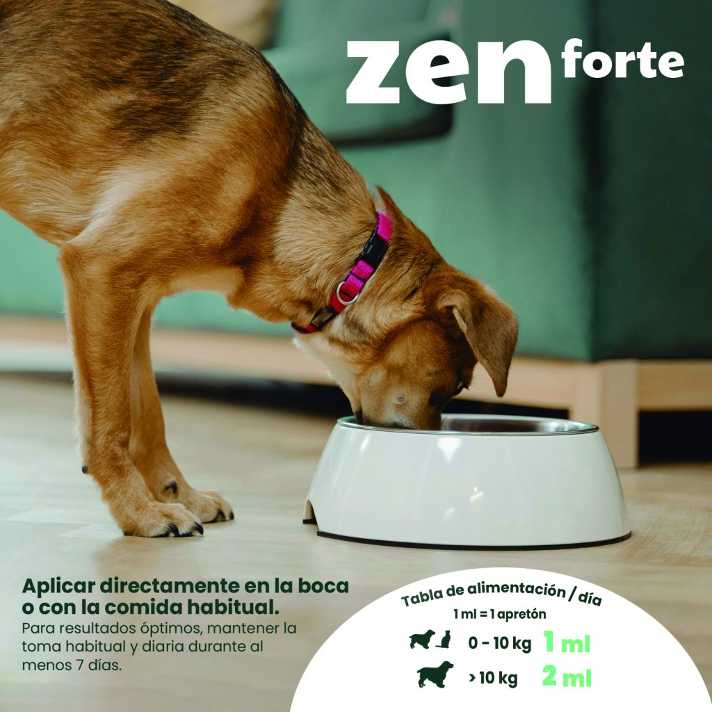 Mooiza Zen Forte | Mooiza Pet